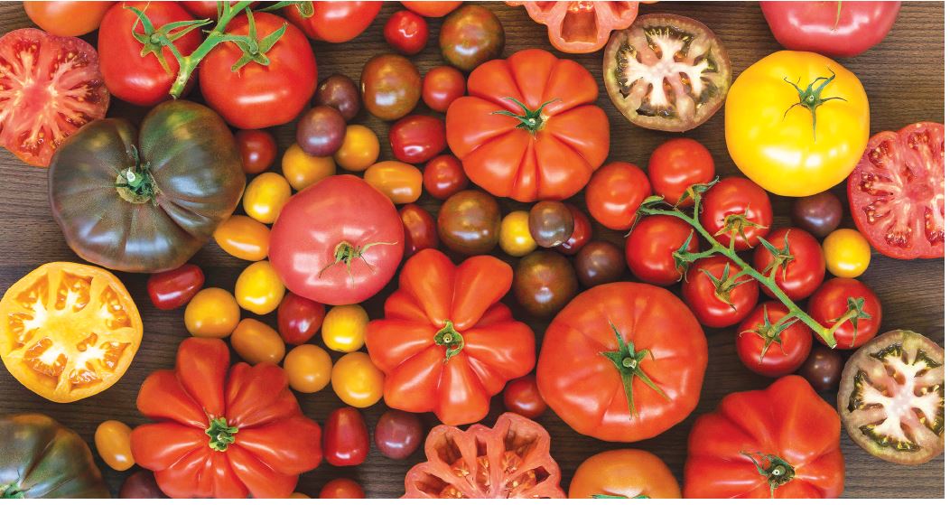 Galveston Monthly - Exploring Your Island Paradise